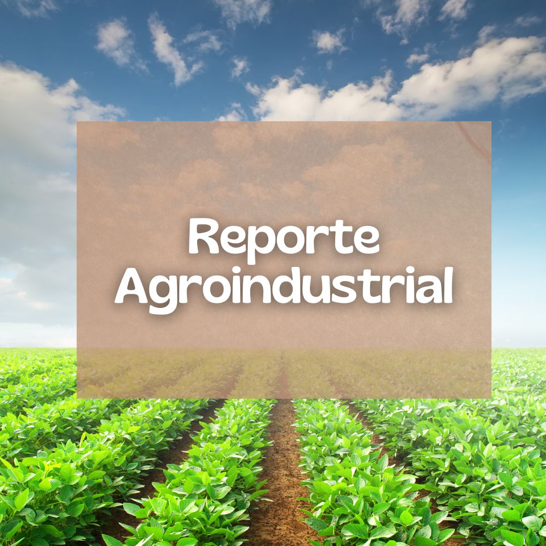 Caña de azúcar en Tucumán y Argentina: Evolución de algunos aspectos ...